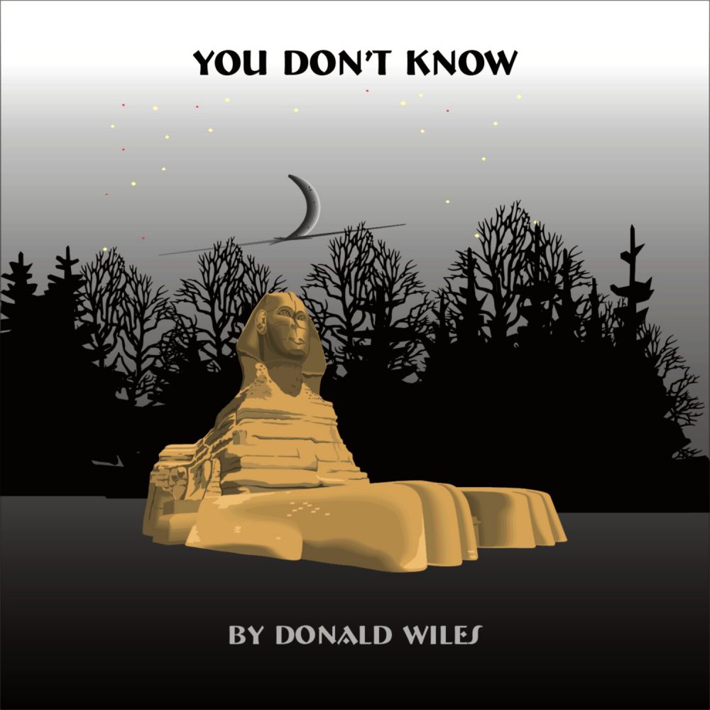 Donald Wiles - You Don't Know - Stereo Stickman