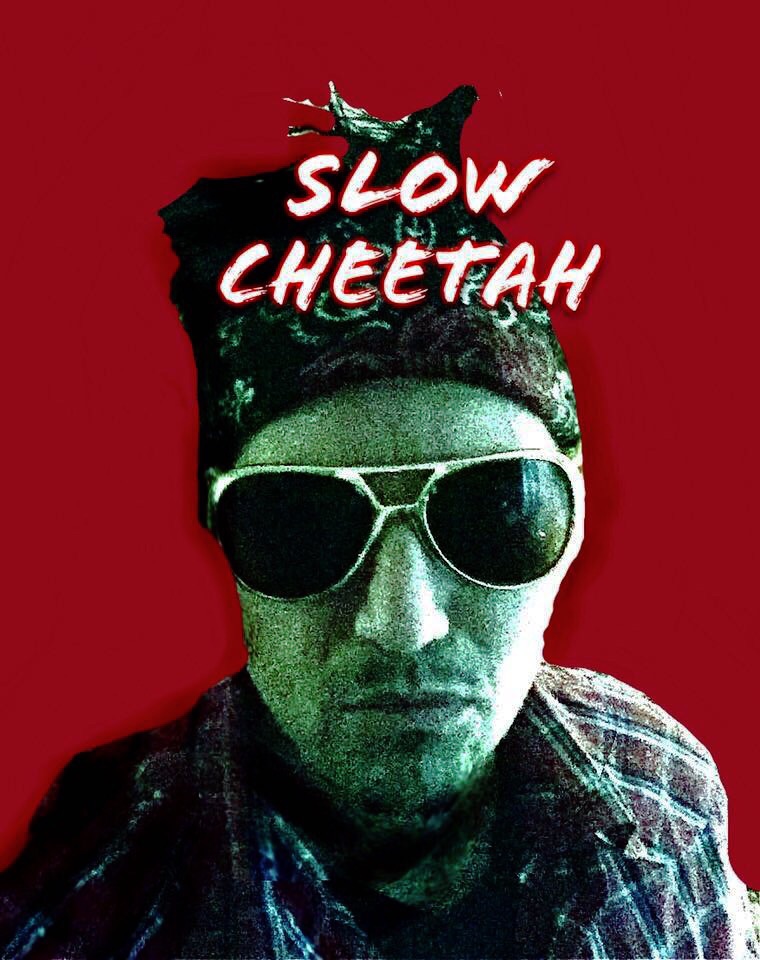 Slow Cheetah - Slow Cheetah - Stereo Stickman