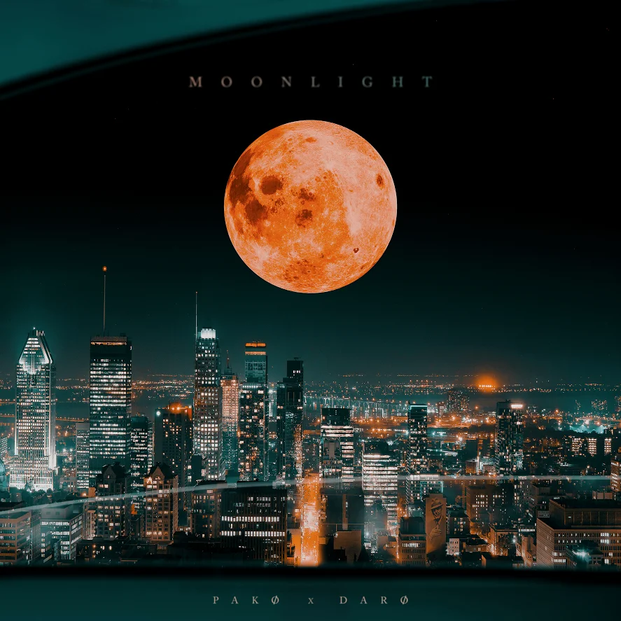 Pakø - Moonlight (Feat. Darø) - Stereo Stickman