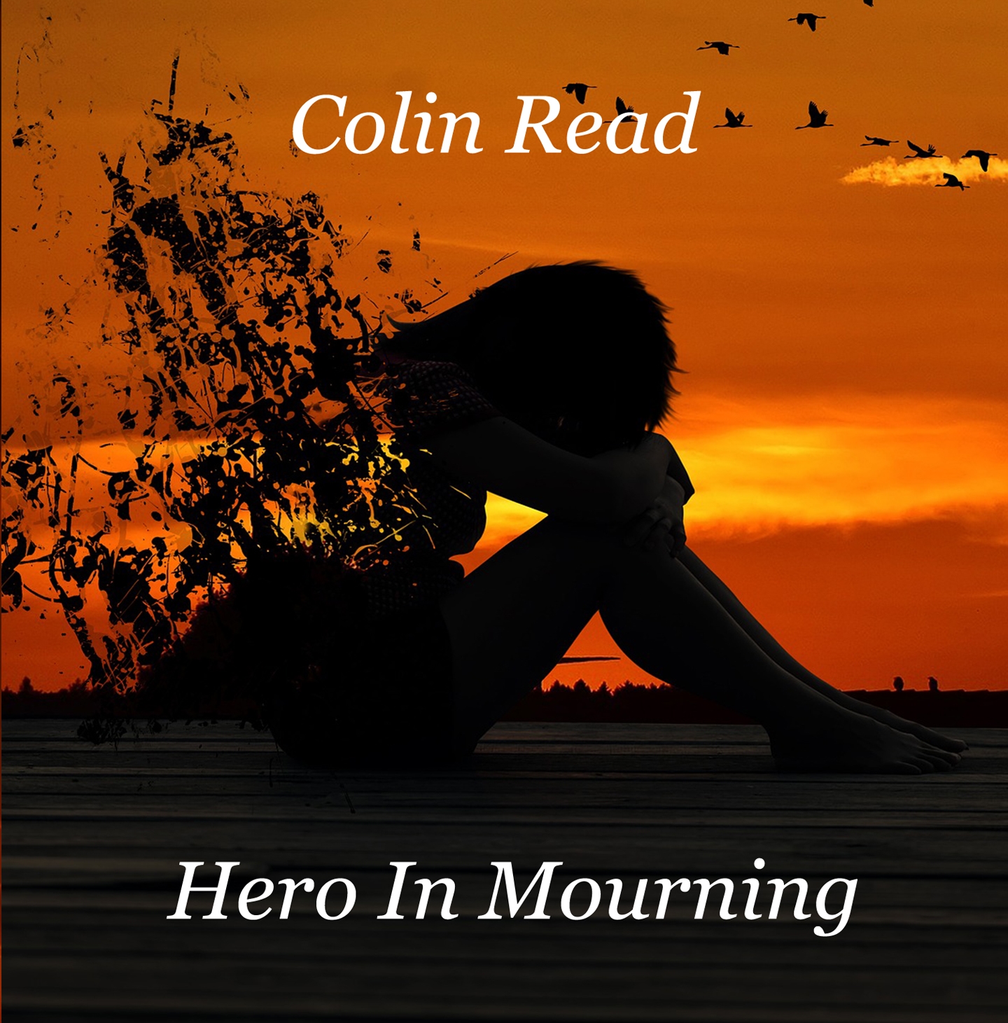 Colin Read - Hero In Mourning - Stereo Stickman
