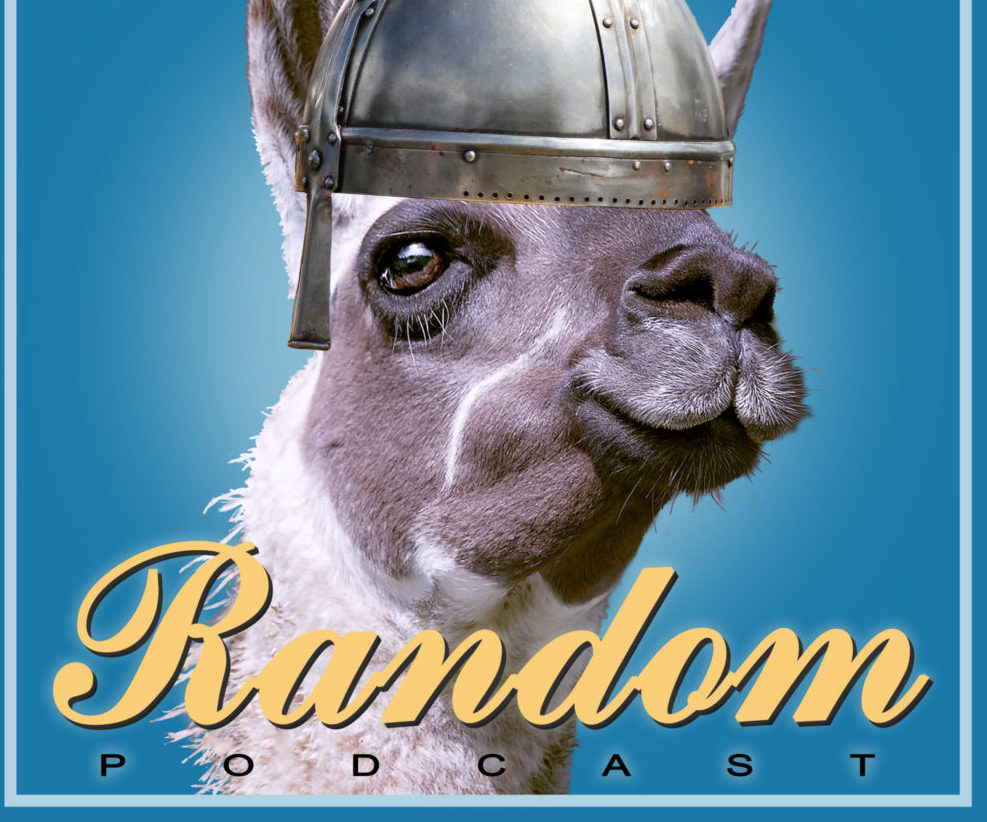 Random - An Audio Collage (PODCAST) - Stereo Stickman