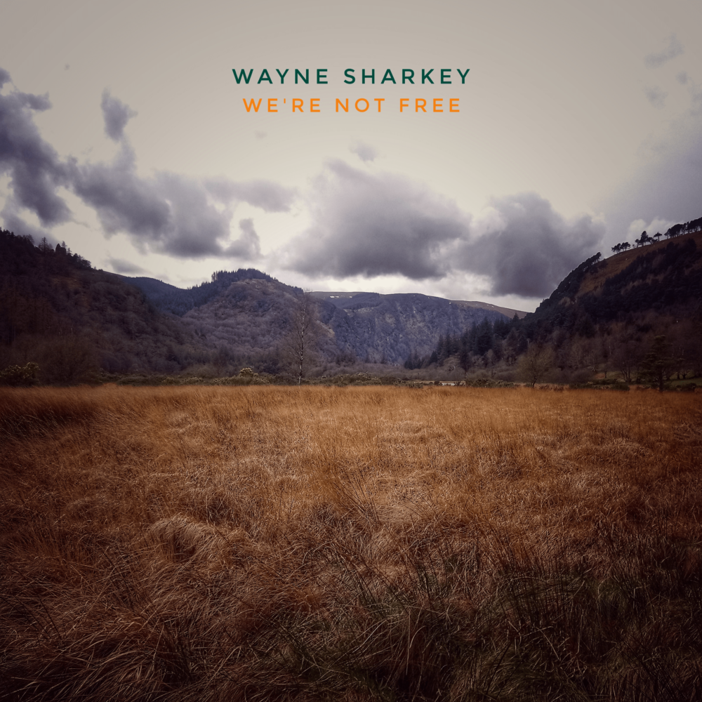 Wayne Sharkey - We're Not Free - Stereo Stickman