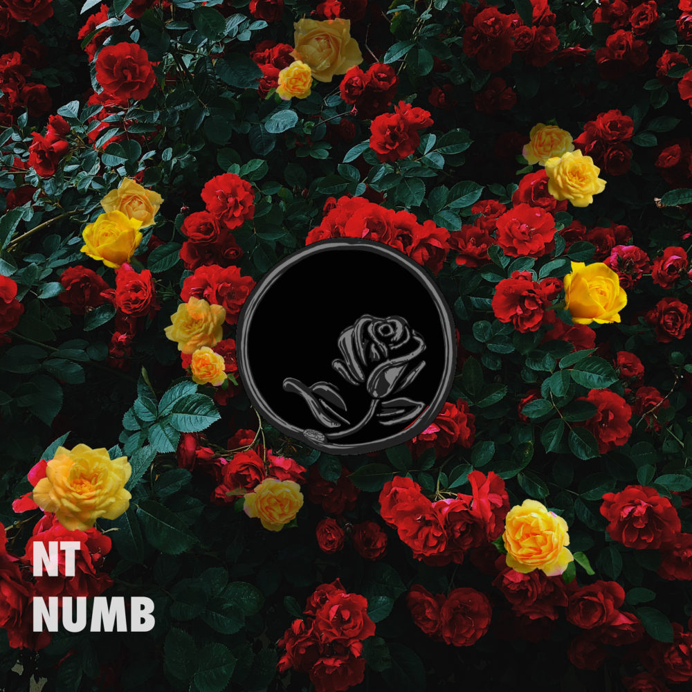 NT - Numb - Stereo Stickman