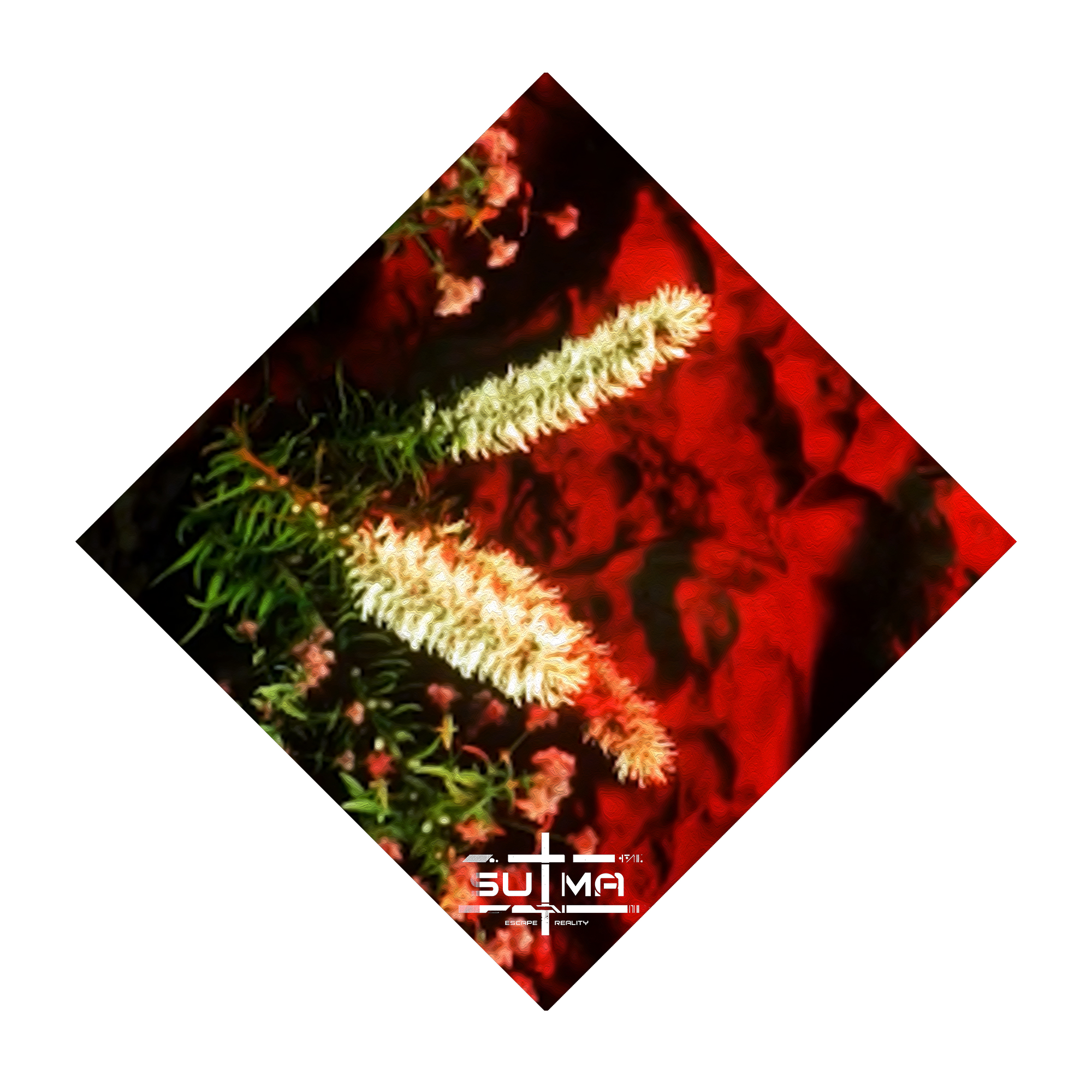 SUMA - SOBER - Stereo Stickman