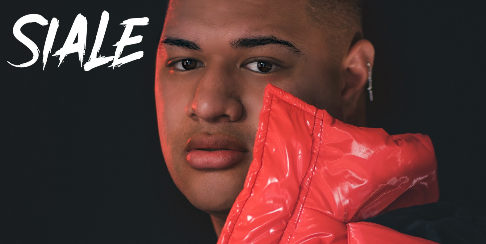 Siale - Kill In The Night - Stereo Stickman