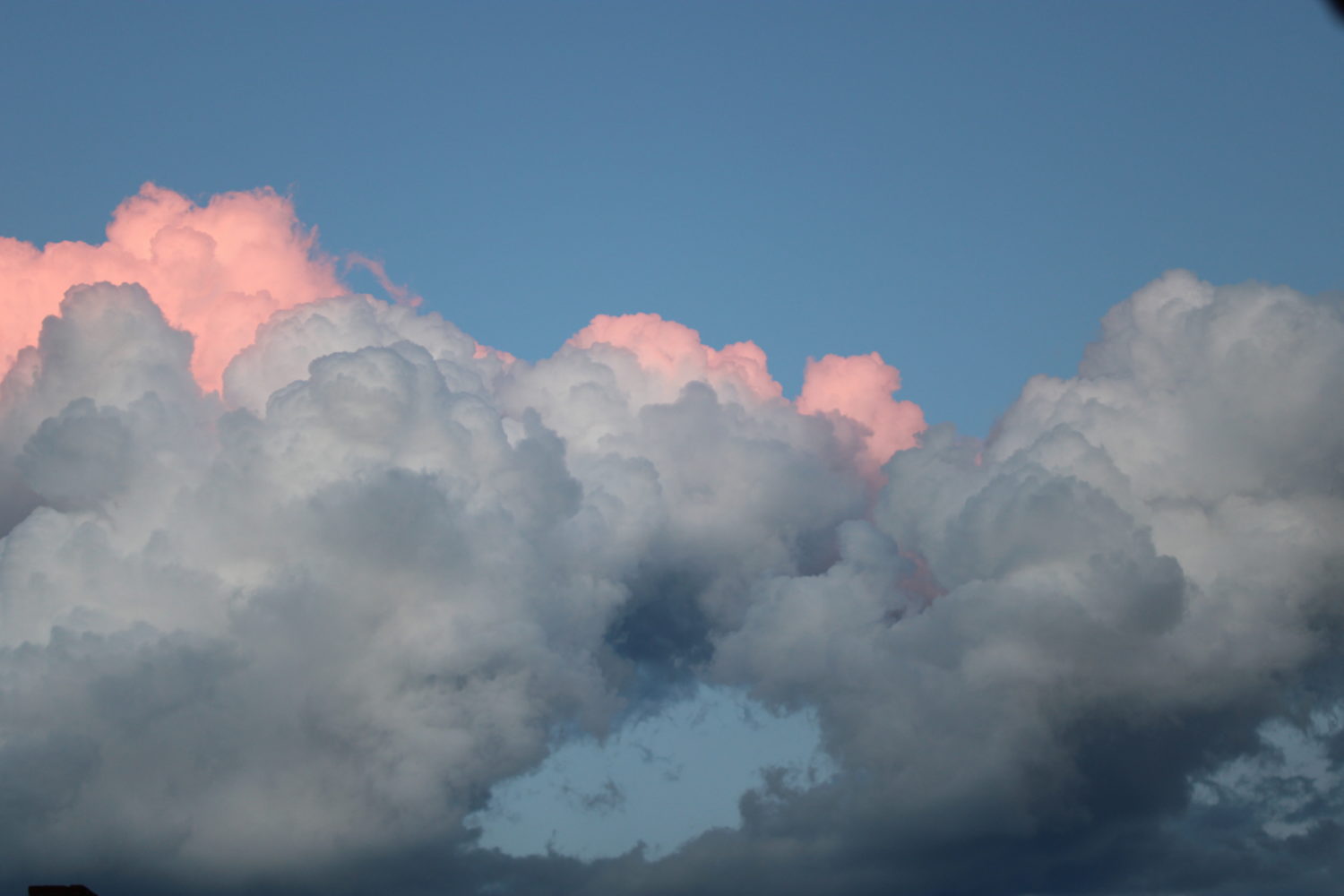 traolé - Animalé - Stereo Stickman