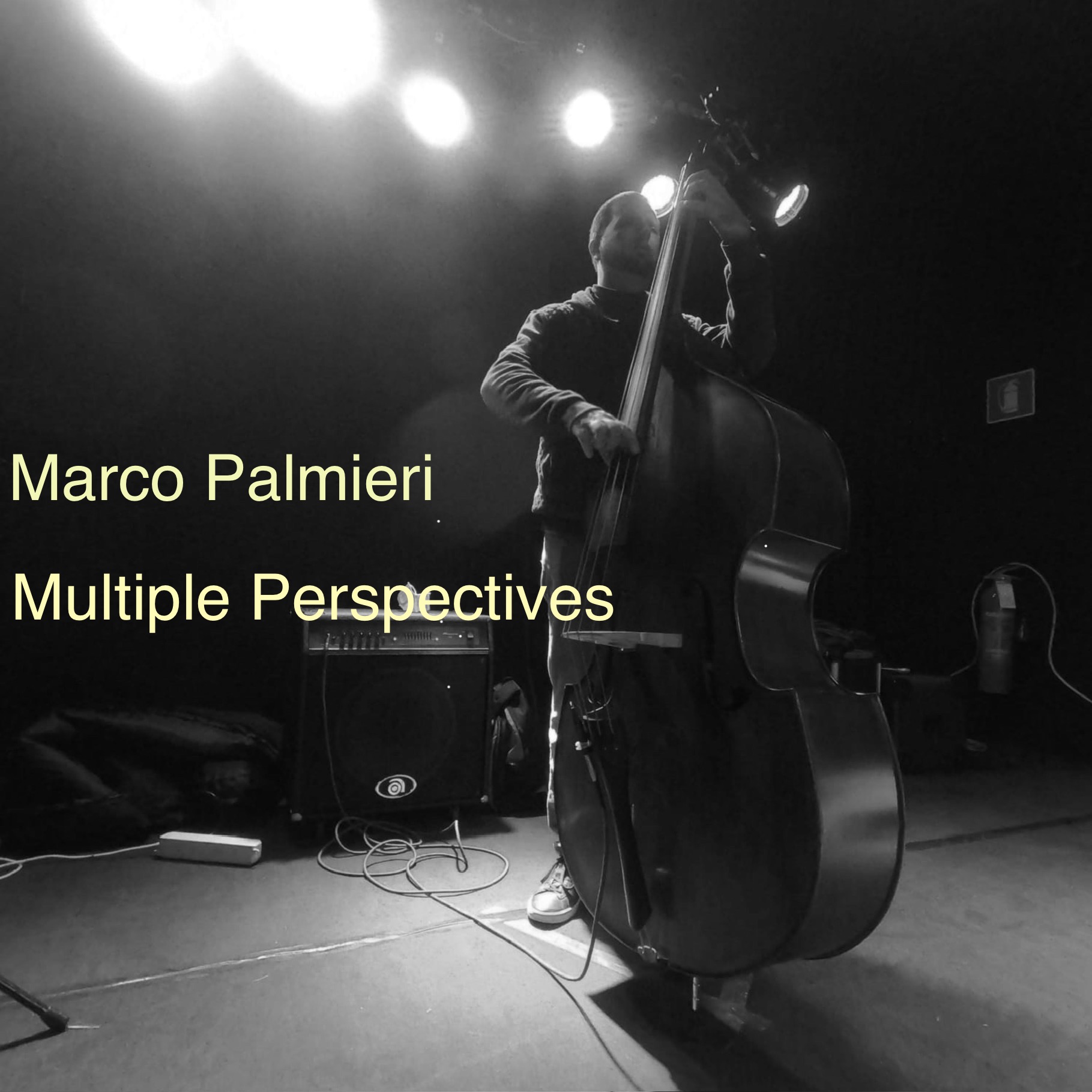 Marco Palmieri - Multiple Perspectives - Stereo Stickman